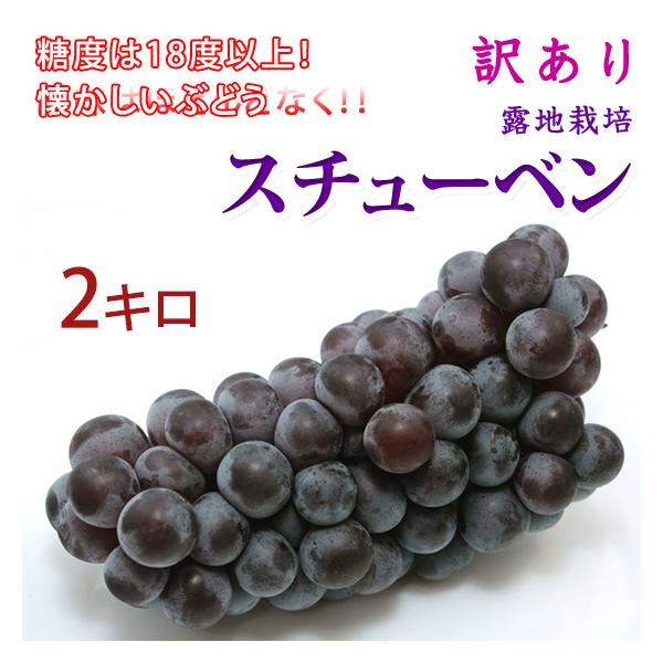 【発売日：2026年09月15日】旬：9月中下旬開始予定〜10月中旬特徴はなんと言ってもその糖度の高さで、２０度以上にもなり酸味が少なく蜂蜜のような濃い甘さを堪能出来ます。長野県産※一部地域へは別途送料（/個）がかかりますのでご了承ください。