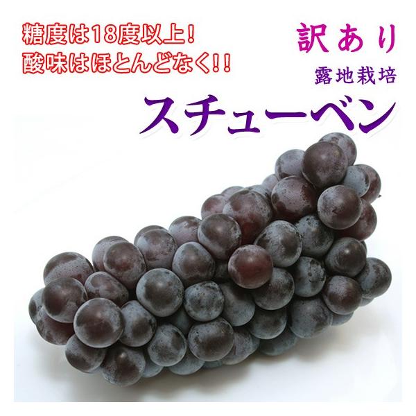 【発売日：2026年09月15日】旬：9月中下旬開始予定〜10月中旬特徴はなんと言ってもその糖度の高さで、２０度以上にもなり酸味が少なく蜂蜜のような濃い甘さを堪能出来ます。長野県産※一部地域へは別途送料（/個）がかかりますのでご了承ください。