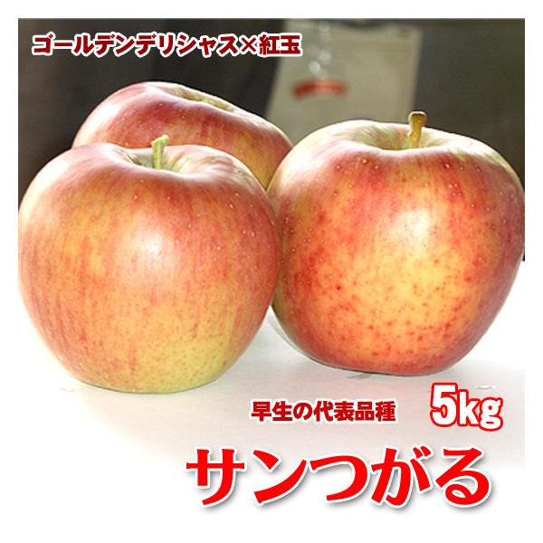 【発売日：2026年08月20日】旬：8月中下旬〜約2週間早生りんご“サンつ早生品種独特の芳香があり爽やかな甘さでジューシィ、旬がとても短いのでお早めに！がる”　袋をかけずに太陽をいっぱい浴びて育ったりんご。 5kg 特秀※一部地域へは別途...