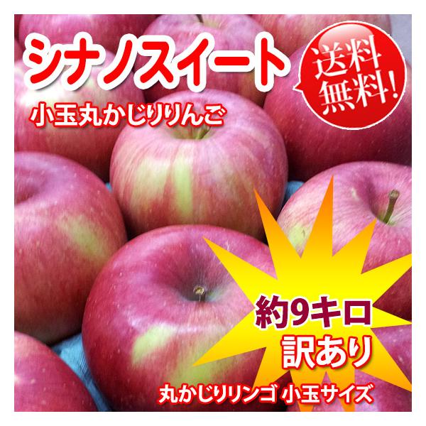 【発売日：2026年10月01日】旬：10月下旬発送予定シナノスイート約9キロ丸かじり 小玉りんご 訳ありりんごの酸味がにがてという方でもおいしく食べれる新感覚りんご。新しい品種でとても甘くおいしいりんごです。※一部地域へは別途送料（/個）...