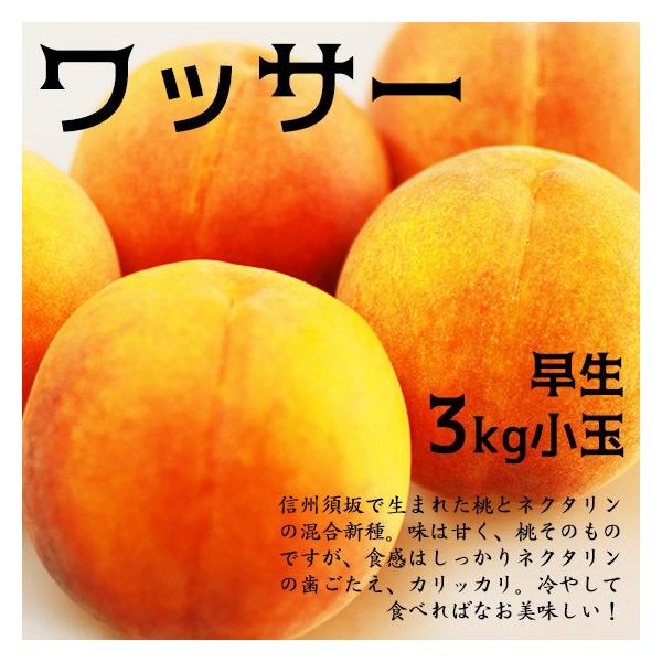 【発売日：2026年07月15日】旬：7月下旬〜約2週間桃とネクタリンの自然交配で生まれたのがこのワッサーです。品種登録されたのが平成2年という、まだまだ新しい品種であり、知る人ぞ知る果物なのです。 果実がしっかりとして固めの歯ごたえで、食...