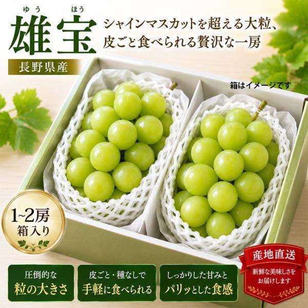 【発売日：2026年08月31日】旬：9月初旬〜約2週間シャインマスカットより大粒大房のぶどうです、皮ごと食べられ、種もなく、パリッとした食感と濃厚な甘さが特徴。果汁がシャインと比べたっぷりジューシーな味わいは、一粒で満足感のある特別なぶど...