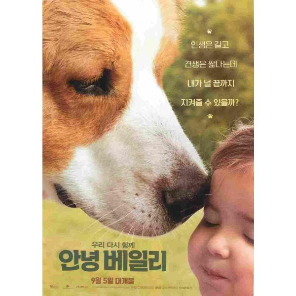 A4判／ペラ韓国にて無料配布された映画チラシです。持ちシワやエッジ折れ、角落ち、エッジシワなどのダメージがある場合があります。当店の表題のタイトルは、商品入荷時に英題、原題、ネットでの通称などを参考に仮称を記載している場合があります（日本公...