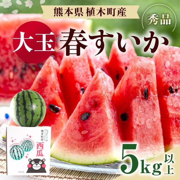 ■商品説明：熊本県はすいかの生産量が日本一ですが、その中でも植木町は「日本一のすいかの里」として知られています。市場での信頼が非常に厚く、贈答用としての需要が非常に高いため、百貨店や高級果物店では高値で取引されています。ハウス栽培のため寒い...