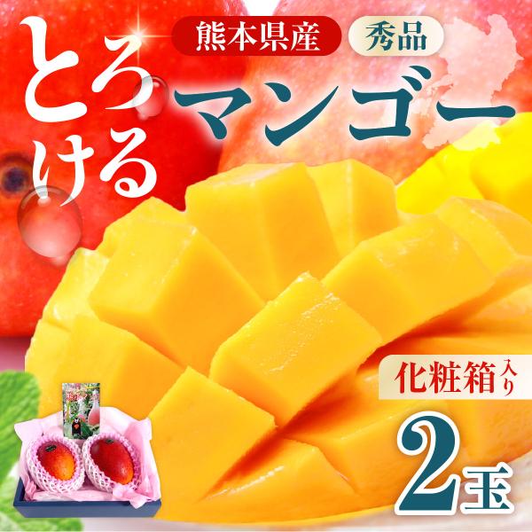 ■商品説明：濃厚な甘さ、トロリととろけるようななめらか食感が堪らない！熊本県産の完熟マンゴー。樹上で完熟させることで、高糖度に仕上げることができます。<br>完熟が近くなると、果実を守るために一つずつネットを被せています。完熟し...