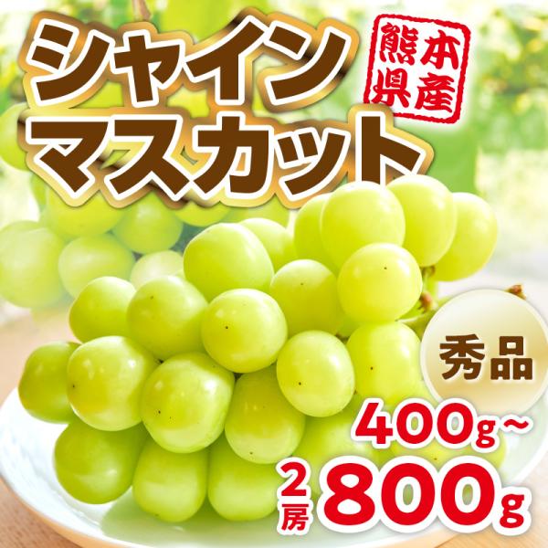 【発売日：2026年07月25日】■商品説明：噛んだ瞬間に溢れ出す果汁。高糖度・種ナシ丸ごと・クセになる食感は一度食べたらとまりません！■内容：熊本県産 シャインマスカット 秀品 1房 or 2房 1房あたり約400g■賞味期限：青果物です...
