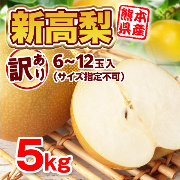 【発売日：2026年09月15日】■商品説明：溢れるほどの果汁と、芳醇な香りが楽しめる新高梨。ベテランの農家さんが丁寧に育てた自慢の梨をお届けします！■内容：熊本県産 新高梨 訳あり 5kg 6-12玉※訳ありのため、ご家庭でお楽しみくださ...