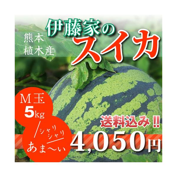 【発売日：2025年05月01日】かつて、すいかひとつにここまでの構想・熱意・技術が注ぎ込まれたことがあっただろうか！伝統農法、最先端テクノロジーのコラボレーションが熊本・植木の地に究極のすいかを生み出した！従来の農業はすべて管理下におかれ...