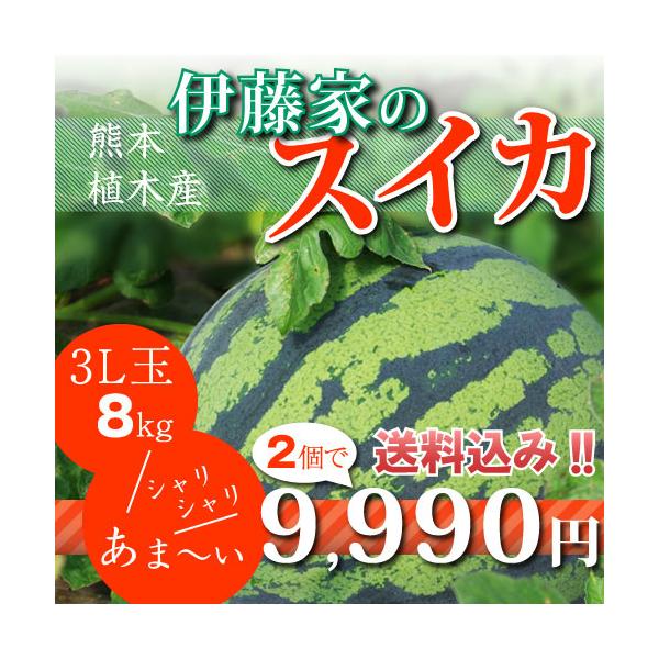 【発売日：2025年05月01日】かつて、すいかひとつにここまでの構想・熱意・技術が注ぎ込まれたことがあっただろうか！伝統農法、最先端テクノロジーのコラボレーションが熊本・植木の地に究極のすいかを生み出した！従来の農業はすべて管理下におかれ...
