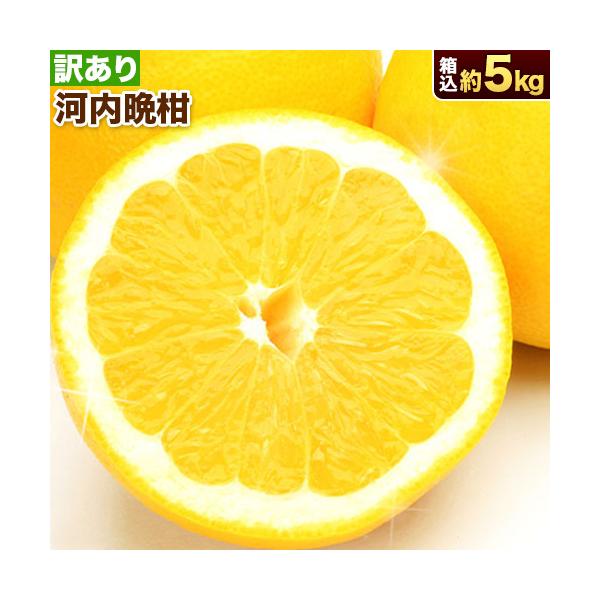 本場熊本の河内晩柑（かわちばんかん）を送料無料でお届け。・2セット購入で5kg増量!!合計15kg・サイズ不選別混合・複数箱購入の場合はおまとめ配送となります・本商品は訳あり商品です・発送は4月中旬〜下旬頃より順次出荷開始・東北200円、北...