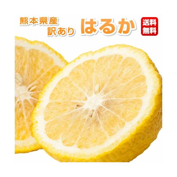 【発売日：2025年02月03日】みかん はるか 送料無料 熊本県産・本商品は訳あり商品です・サイズ混合（大小偏る場合もございます。）・2セット購入で1セット分おまけ[合計15kg]・複数箱購入の場合はおまとめ配送となります追加送料について...