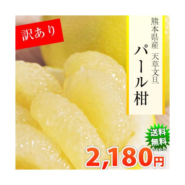 パール柑 訳あり 文旦・本商品は訳あり商品です・サイズ 不選別（大小偏る場合もございます。）・生産地：熊本県産・2セット購入で1セット分おまけ[合計15kg]・複数箱購入の場合はおまとめ配送となります・グレープフルーツや文旦の親戚に当たる柑...