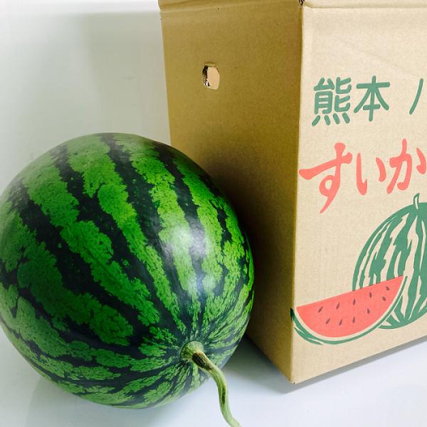 【発売日：2026年06月01日】【商品名】熊本県産すいか 【内容量】 1玉（ 約4kg以上 2Lサイズ）【産地】熊本県【商品コード】002【品質】【規格外訳あり】【キャンセルについて】大変申し訳ございませんが、お客様のご都合によるキャンセ...