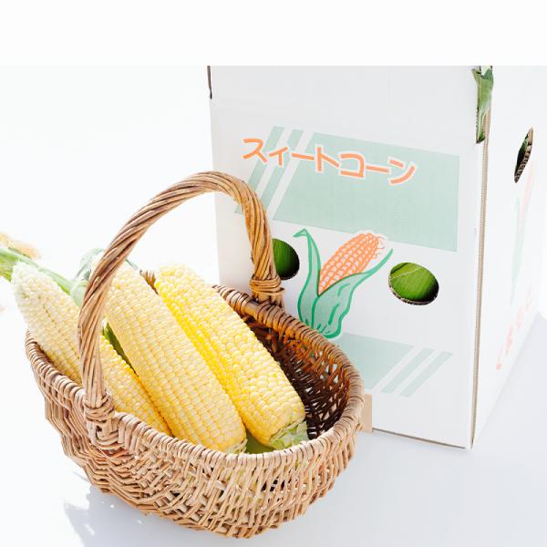 【発売日：2026年04月28日】★全国で一番早く獲れる　甘いスイートコーン！　★販売実績：年間１０００箱完売！！★毎年、収穫時期になると地元や県外からたくさんの方に直接買いに来ていただいております。全国のみなさまにもっとこのスイートコーン...