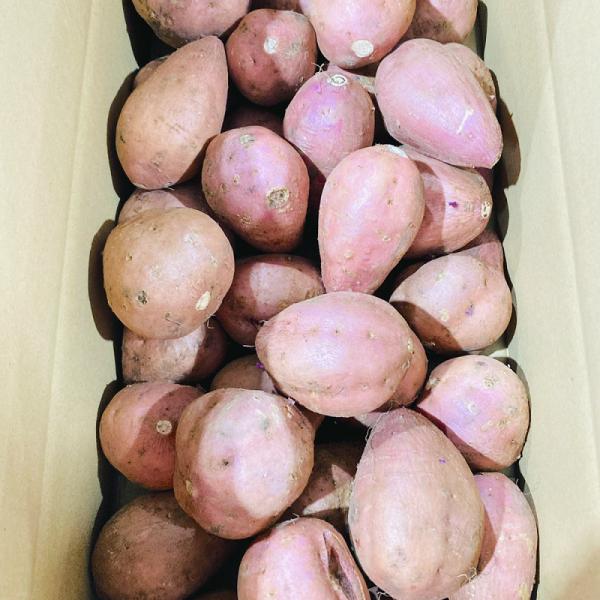 ■【優品 訳あり品】自宅用訳あり品 主に一般向けとしてディスカウントスーパーなどに流通する場合が多く、ご家庭用になります。サイズの不揃いが多く、表皮に若干のシミや傷や黒点、変形、変色のある場合がございます。また、先端をカットしているものも含...