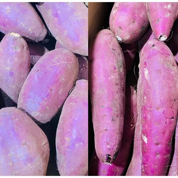 『商品説明』品名：さつまいも 紅はるか＆シルクスイート 内容量： 約4.5kg 箱込み（内容量4kg＋補償分500g) 産地：熊本県産　サイズ：不揃い（ベビーサイズを含む）商品コード：002品質：規格外 訳あり品賞味期限/保存方法■賞味期限...