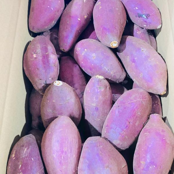 ■【優品 訳あり品】自宅用訳あり品 主に一般向けとしてディスカウントスーパーなどに流通する場合が多く、ご家庭用になります。サイズの不揃いが多く、表皮に若干のシミや傷や黒点、変形、変色のある場合がございます。また、先端をカットしているものも含...