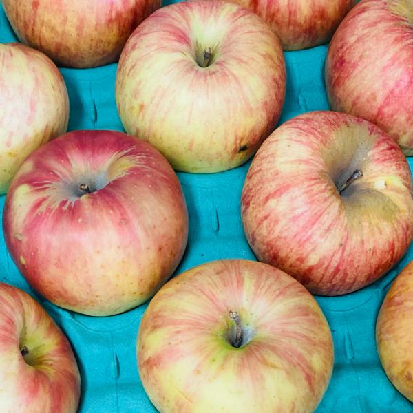 『商品説明』【品名】りんご　【量目】約4.5kg　【数量目安】サイズは不揃いになります。目安：約12〜18個サイズは不揃いなので、玉数はあくまでも、目安になります。【産地】長野産、青森産【品種】つがる、早生ふじ、紅玉、ジョナゴールド、陸奥、...