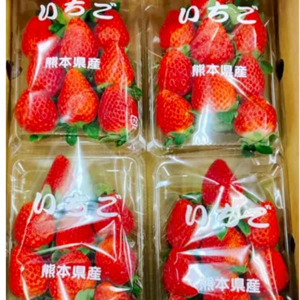 【発売日：2025年12月19日】【商品名】：熊本産 いちご 4パック 【産地】：熊本産もしくは主に福岡産【品種】：かおりの、恋みのり、あまおとめ、ゆうべに、とよのか、さがほのかなど※入荷状況とその時期の旬のいちごを発送させて頂きます。また...