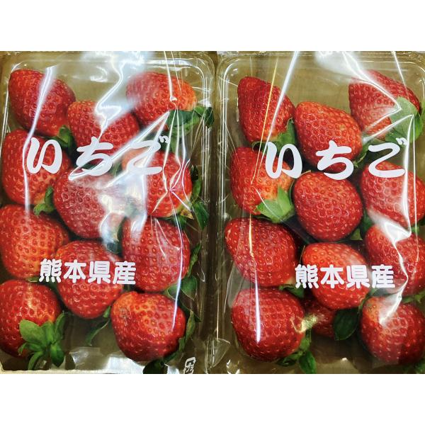【発売日：2025年12月19日】【商品名】：熊本産 いちご 2パック 【産地】：熊本産もしくは主に福岡産【品種】：かおりの、恋みのり、あまおとめ、ゆうべに、とよのか、さがほのか、紅ほっぺなど（品種をお選びできません。）【サイズ】:平均3L...