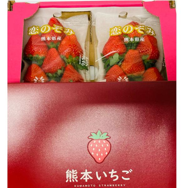 【発売日：2025年12月19日】【バイヤー推奨商品】【商品名】：熊本産 いちご 2パック 【産地】：熊本産【品種】：かおりの、恋のぞみ、恋みのり、あまおとめ、ゆうべに、とよのか、さがほのかなど※入荷状況とその時期の旬のいちごを発送させて頂...