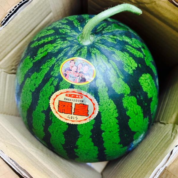 【発売日：2026年06月08日】【バイヤー推奨商品】※写真の箱は変更になる場合がございます。何卒、ご理解の程お願いいたします。【商品名】熊本県産 高級 羅皇 スイート 赤 1玉入り 3L サイズ 箱込み 8キロ以上 秀品【内容量】 1玉（...