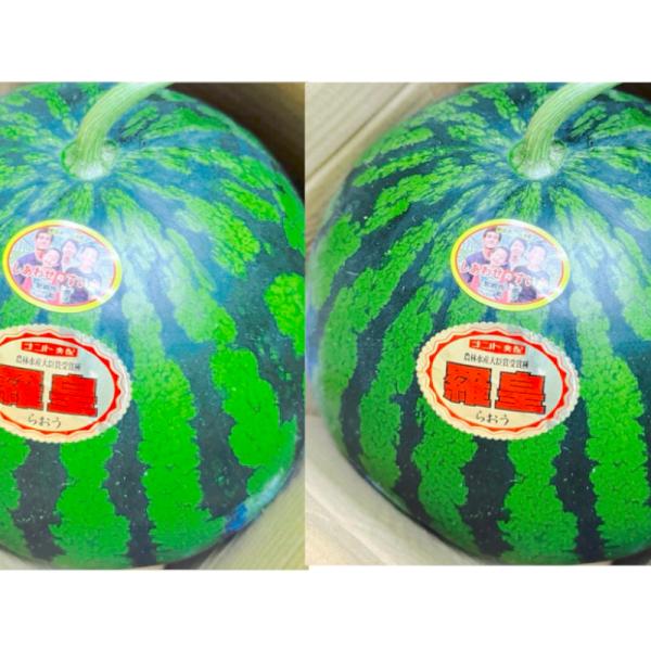 【発売日：2026年06月08日】【バイヤー推奨商品】【商品名】熊本県産 高級 羅皇 スイート 赤 2玉入り 2L サイズ 箱込み 1玉あたり 7キロ以上 秀品【内容量】 2玉（1玉あたり : 2L サイズ 箱込み 7キロ以上  )【品種】...