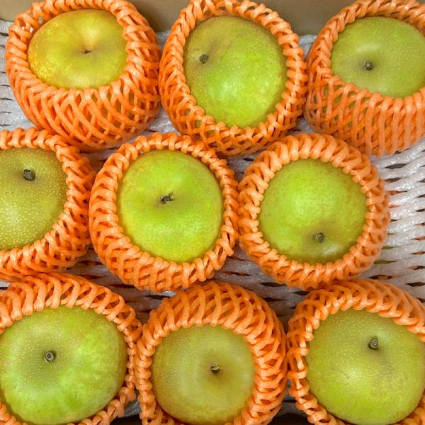 【発売日：2025年09月29日】【商品名】熊本県産 梨（幸水 豊水 あきづき 新高など）【内容量】箱込み 約 4kg以上 　サイズ、玉数は時期によって変わります。 重量はサイズにより多少前後します。ご理解が頂ける方のみご購入お願いいたしま...