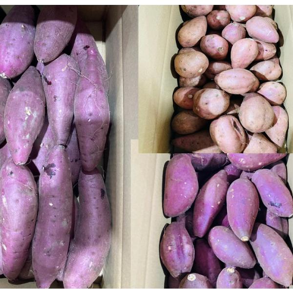 品名：さつまいも 3種類セット内容量： 約4kg ※※入荷状況により、大きさやサイズが違うので重量は前後します。箱込み産地：熊本県産※※入手困難な場合は、その他になります。品種について：ご注意　入手困難な場合は、その他の種類のさつまいもにな...