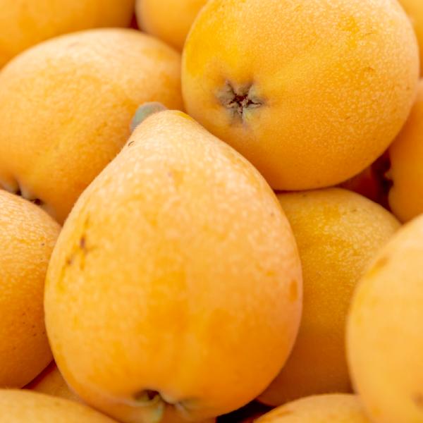 【発売日：2026年05月16日】【商品名】熊本県産 びわ【産地】熊本県入手困難な場合には九州産になります。【内容量】  4パック 箱込み(目安：1パックあたり250g前後）　　※入荷状況により重量は50gぐらい前後変動致します。　【サイズ...