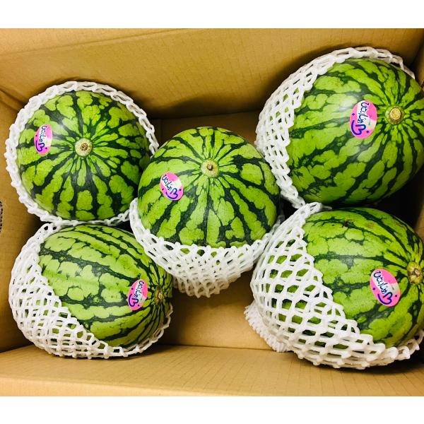 【発売日：2026年06月01日】【くまもと食彩の力　選ばれる理由】(1)出荷作業時に専門スタッフがしっかり検品を行った後に、発送させて頂きます。(2)フルーツや野菜専門のバイヤーが直接現地にて、商品のチェック(色、艶、香り、形、重さなど)...