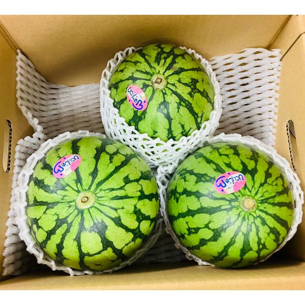 【発売日：2026年06月01日】【くまもと食彩の力　選ばれる理由】(1)出荷作業時に専門スタッフがしっかり検品を行った後に、発送させて頂きます。(2)フルーツや野菜専門のバイヤーが直接現地にて、商品のチェック(色、艶、香り、形、重さなど)...
