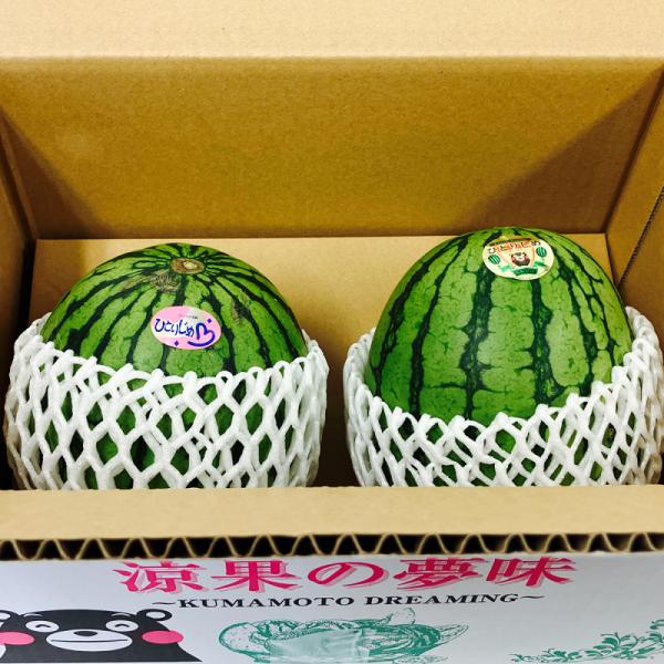【発売日：2026年06月01日】【くまもと食彩の力　選ばれる理由】(1)出荷作業時に専門スタッフがしっかり検品を行った後に、発送させて頂きます。(2)フルーツや野菜専門のバイヤーが直接現地にて、商品のチェック(色、艶、香り、形、重さなど)...