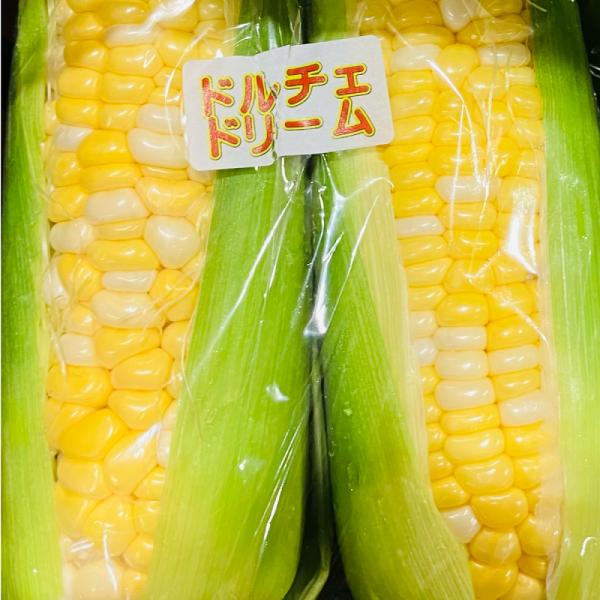 【発売日：2026年06月01日】【ドルチェドリーム の特徴】ドルチェドリームは美味さ、甘さ、粒の大きさ、シャキシャキとした歯応え、香りなど、満足度が高い人気の品種になります。【商品名】とうもろこし【品種】ドルチェドリーム 【産地】主に熊本...