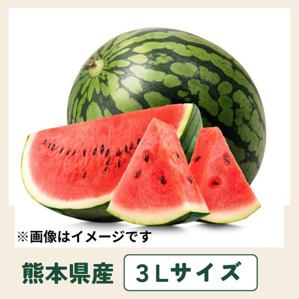 【発売日：2026年06月01日】注意点：発送前に、検品強化はしておりますが、どうしても空洞につきましては、切ってみないと分からない部分がございます。ご了承いただける方のみご購入お願いお願い致します。【バイヤー推奨商品】【商品名】熊本県産 ...
