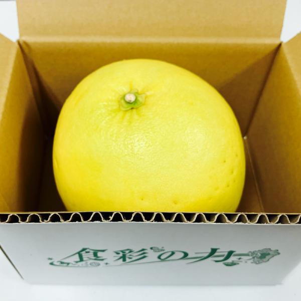 ■商品名　晩白柚 ばんぺいゆ (小）■産地　熊本県産■内容量　合計２キロ　 2玉 (1玉あたり約1キロ前後)※大きさによって、重さは前後します。■【商品コード】003■【品質】【 訳あり 規格外】 ※ご注意：発送後は、食品の性質上お客様都合...
