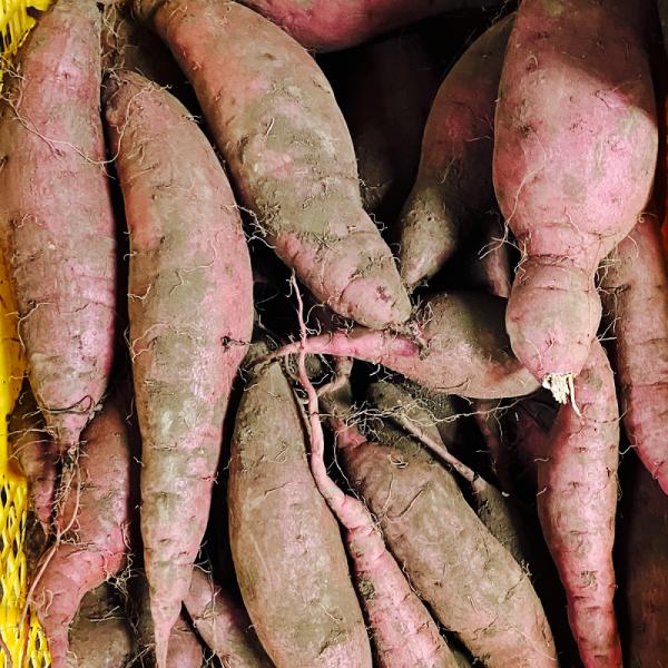 焼き芋、煮物、天ぷらなど、どんな料理にもぴったりです。品名：熊本県産 土付きお芋 紅はるか さつまいも 訳あり品（※土付きが無い場合は、通常通りのさつまいもになります。）内容量：箱込み　約2kg ※※入荷状況によって多少前後致します。産地：...