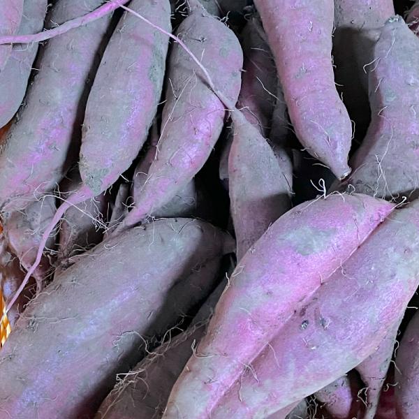 品名：熊本県産 土付きお芋 シルクスイート さつまいも 訳あり品（※土付きが無い場合は、通常通りのさつまいもになります。）内容量：箱込み　約5kg ※※入荷状況によって多少前後致します。産地：熊本県産　※※入手困難な場合はその他の地域になり...