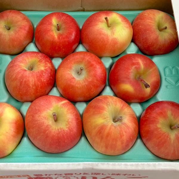 【品名】こみつ りんご　【量目】約2kg　※※重量は多少前後致します。【玉数目安】 6玉から13玉※※玉数は入荷状況によって多少前後致します。【産地】青森産【商品コード】001 【配達業者】日本郵便、ヤマト運輸もしくは佐川急便にて発送※ご注...