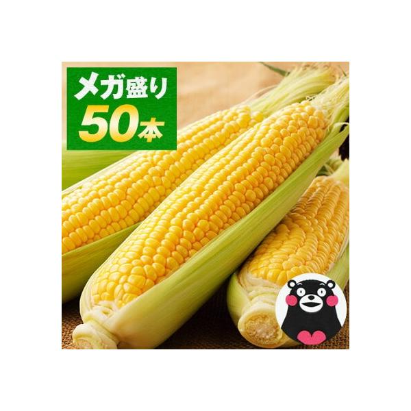 名称 とうもろこし原産地 九州産内容 スイートコーン・大振り3L-Lサイズ×50本入賞味期限 鮮度が命のトウモロコシですので、到着後はお早めにお召し上がりください。保存方法 冷蔵庫で保管してください。配送方法 ヤマト運輸、佐川急便、日本郵政...