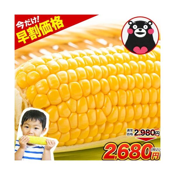 ■名称とうもろこし■原産地熊本県産■内容ゴールドラッシュ／サニーショコラ／味来／恵味・大振り3L-Lサイズ×5本入■賞味期限鮮度が命のトウモロコシですので、到着後はお早めにお召し上がりください。■保存方法冷蔵庫で保管してください。■配送方法...