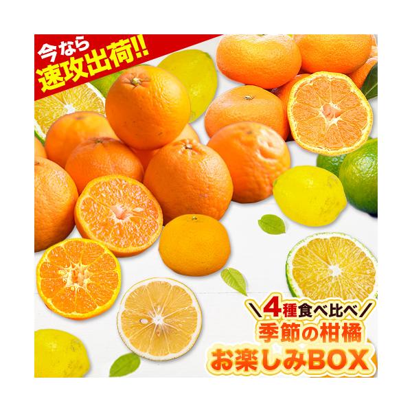 ■名称季節の柑橘お楽しみボックス■産地熊本県産■内容大粒みかん1.5kg訳ありポンカン1kg訳ありスイートスプリング1kg訳ありレモン1kg■内容量計4.5kg■賞味期限生ものですので、お早めにお召し上がりください。■販売者株式会社ローカル...