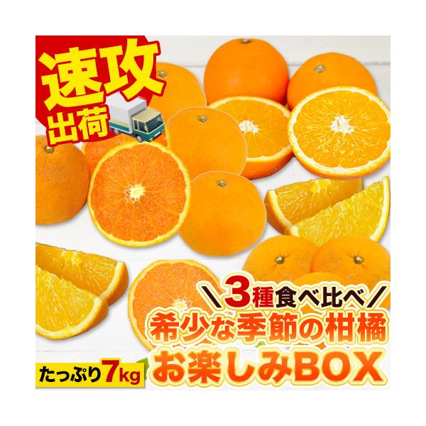 ■名称季節の柑橘お楽しみボックス■産地熊本県産■内容訳あり清見3kg訳あり甘夏3kg訳ありネーブル1kg■内容量計7kg■賞味期限生ものですので、お早めにお召し上がりください。■販売者株式会社ローカル〒860-0047熊本県熊本市西区春日３...