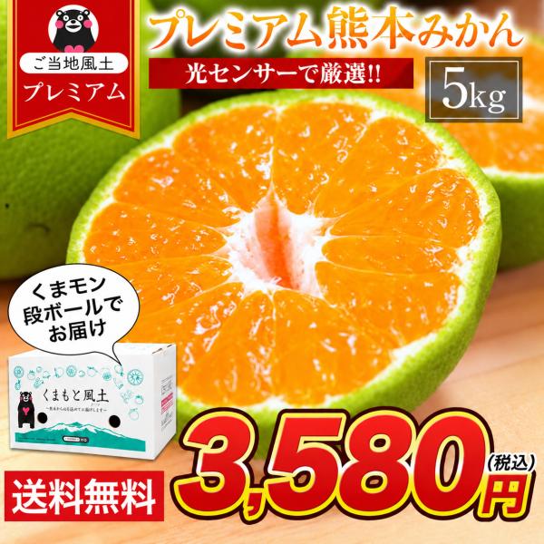 ■名称プレミアム熊本みかん■産地熊本県産■内容プレミアム熊本みかん（5kg）・サイズ不揃い※玉数は、大きさにより変動します。■賞味期限生ものですので、お早めにお召し上がりください。■保存方法直射日光の当たらない、風通し良く涼しい冷暗所で保存...