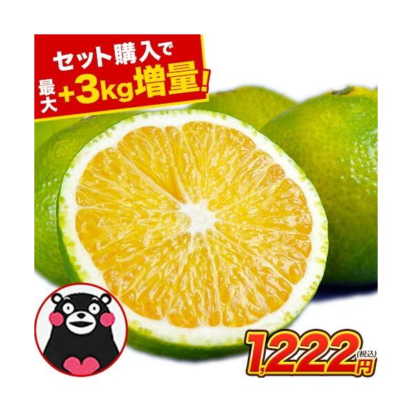 ■名称柑橘■産地熊本県産■内容3L〜Sサイズ/1.5kg■賞味期限生ものですので、お早めにお召し上がりください。■保存方法冷暗所や冷蔵庫などで保管してください。■配送方法ヤマト運輸・佐川急便・日本郵政の通常便でお届けさせていただきます。※配...