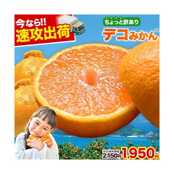 ■名称柑橘■産地熊本県■内容ちょっと訳あり デコみかん 1.5kg・サイズ不揃い（小玉・大玉など混合）※玉数は、大きさにより変動します。■賞味期限生ものですので、お早めにお召し上がりください。■保存方法冷暗所や冷蔵庫などで保管してください。...