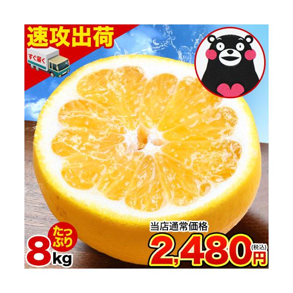 ■名称晩柑■原産地熊本県■内容熊本県産 河内晩柑(和製グレープフルーツ/くまもと晩柑)8kg※訳あり品※サイズ不選別※玉数は、大きさにより変動する場合がありますが、合計約8kg入りでお届けします。■賞味期限生ものですので、お早めにお召し上が...