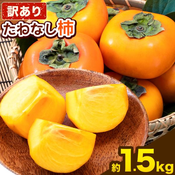 ■名称：【ご家庭用/訳あり】たねなし柿■産地：和歌山県■内容：【ご家庭用/訳あり】たねなし柿 1.5kg■賞味期限：生ものですのでなるべくお早めにお召し上がりください。■保存方法冷蔵庫に入れる際は、野菜室で保存し、無い場合は果物保存に適した...