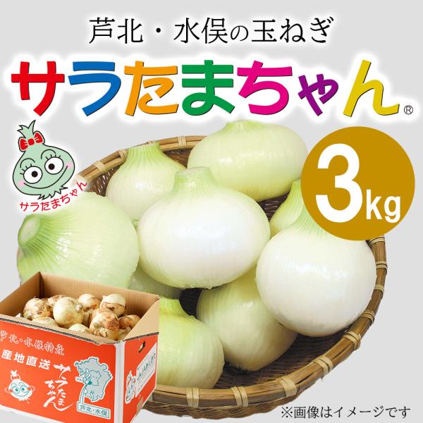 果肉が柔らかく、栽培・収穫から箱詰めまで生産者が1つ1つ手作業で心をこめて丁寧に行っています。産地指定(国野菜指定産地）を受け、農水省の栽培基準(特別栽培農産物)をクリアしてさらに、エコファーマー栽培により「安心」・「安全」で水にさらさなく...
