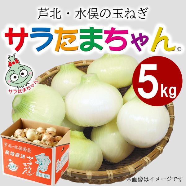 果肉が柔らかく、栽培・収穫から箱詰めまで生産者が1つ1つ手作業で心をこめて丁寧に行っています。産地指定(国野菜指定産地）を受け、農水省の栽培基準(特別栽培農産物)をクリアしてさらに、エコファーマー栽培により「安心」・「安全」で水にさらさなく...